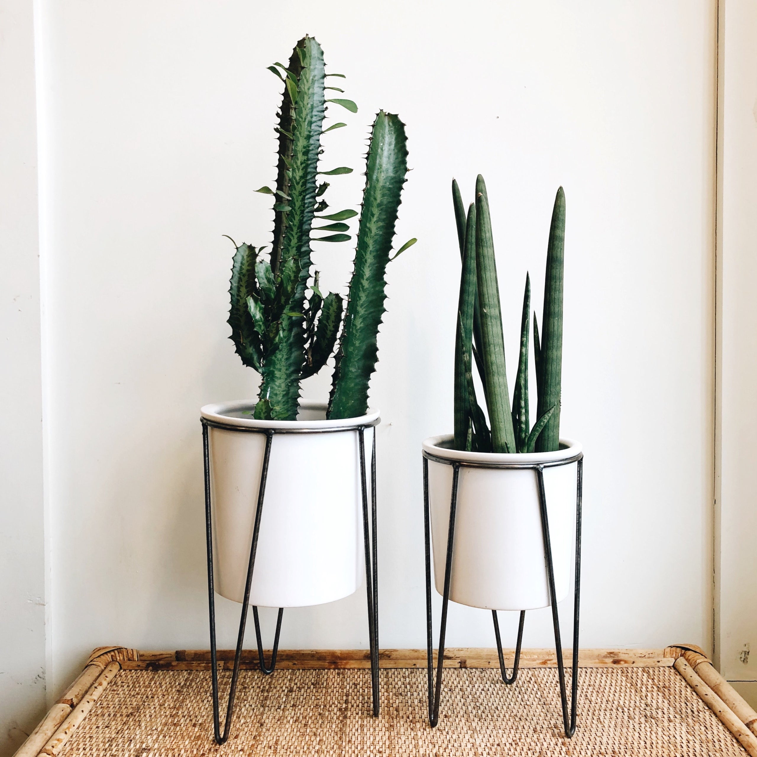 Hairpin planter and stand by Plantstand | carousel + folk