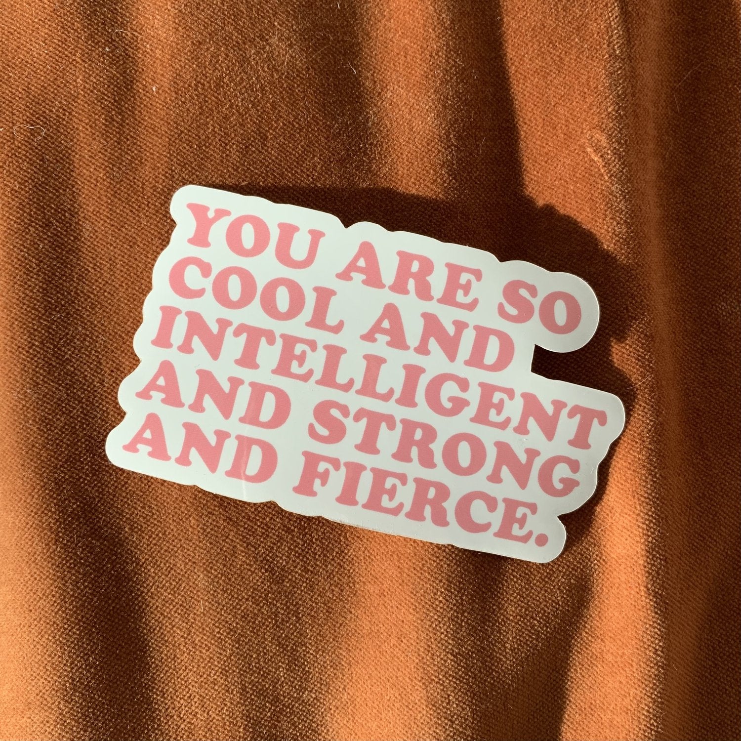 You Are So Cool Sticker by Daisy Natives | carousel + folk